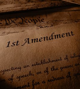 Free Speech ~ 1st Amendment - FLCD22 // Arianas to Congress